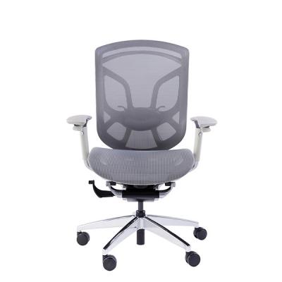 Cina Una base Grey Plastic Chair Tilting Tension Mesh Office Chairs regolabile di cinque inizio in vendita
