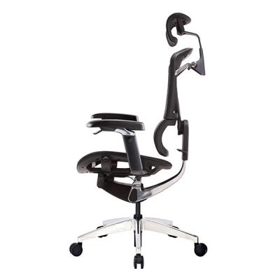 Cina Sedie ergonomiche dell'ufficio della parte girevole della GT ISEE Mesh Chair Home Office Use in vendita