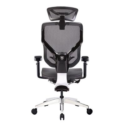 Cina sedie dell'ufficio di Wintex Mesh Adjustable Headrest Reclining Ergonomic di sostegno lombare del bracciolo 5D in vendita