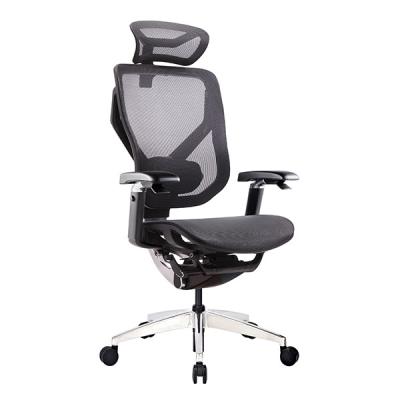 Cina sedie dell'ufficio di Wintex Mesh Adjustable Headrest Reclining Ergonomic di sostegno lombare del bracciolo 5D in vendita