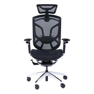 Cina Sedia Wintex Mesh Adjustable Lumbar Support dell'ufficio della parte girevole dello schienale della farfalla in vendita