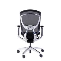 China Mid Back  Ergo Office Chair Adjustable Lumbar Support Sync Sliding for sale