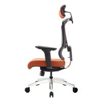 China Ergo Swivel Computer Task Chairs Back Automatic Supporting Desk Chair for sale