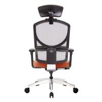 China Ergo Swivel Computer Task Chairs Back Automatic Supporting Desk Chair for sale
