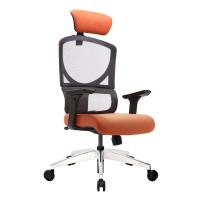 China Ergo Swivel Computer Task Chairs Back Automatic Supporting Desk Chair for sale