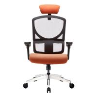 China Ergo Swivel Computer Task Chairs Back Automatic Supporting Desk Chair for sale