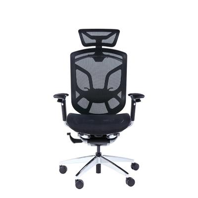 Cina Ergo responsabile Mid Back Ergonomic di Mesh Adjustable Office Chair Lumbar in vendita