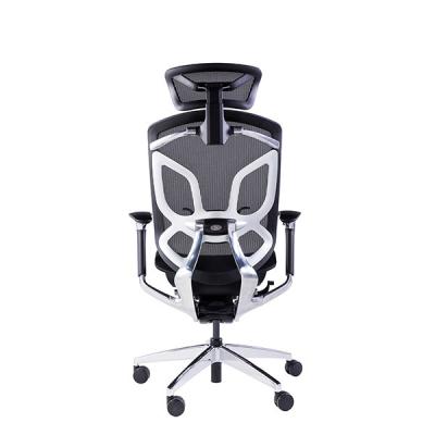 Cina Ergo responsabile Mid Back Ergonomic di Mesh Adjustable Office Chair Lumbar in vendita