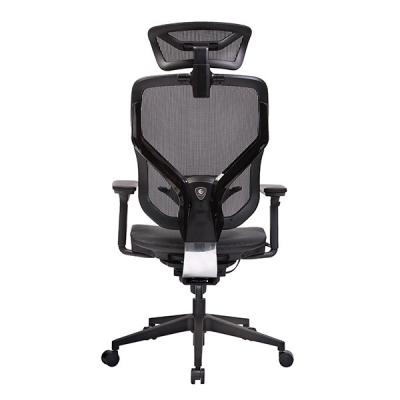 Cina Parte girevole regolabile di armi di sostegno lombare della pagaia di Vida Mesh Back Ergonomic Office Chair 3D in vendita