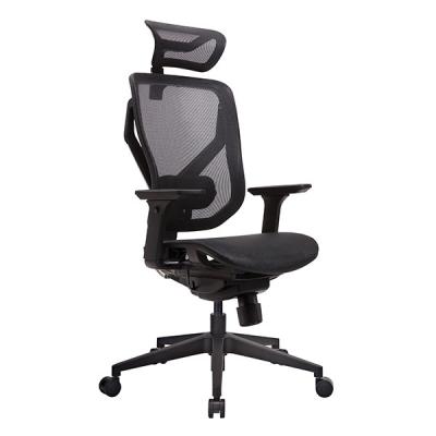 Cina Parte girevole regolabile di armi di sostegno lombare della pagaia di Vida Mesh Back Ergonomic Office Chair 3D in vendita
