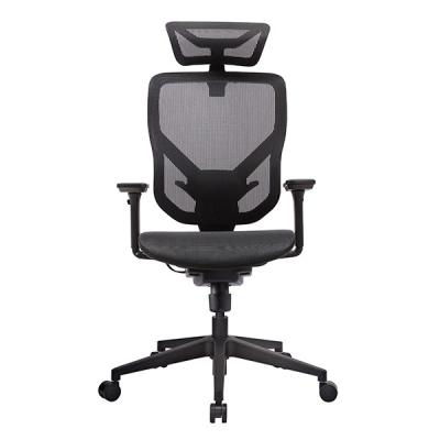 Cina Parte girevole regolabile di armi di sostegno lombare della pagaia di Vida Mesh Back Ergonomic Office Chair 3D in vendita