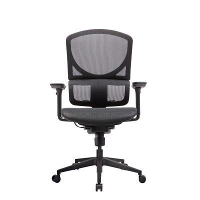 Cina Supporto di Isee m. Ergonomic Office Chair Mesh Desk Adjustable Back Lumbar in vendita