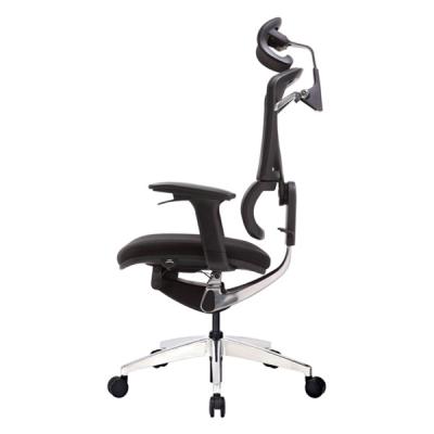 Cina Schiuma regolabile Seat di altezza di sopravvivenza di Mesh Back Ergonomic Office Chair in vendita