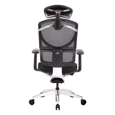 Cina Schiuma regolabile Seat di altezza di sopravvivenza di Mesh Back Ergonomic Office Chair in vendita
