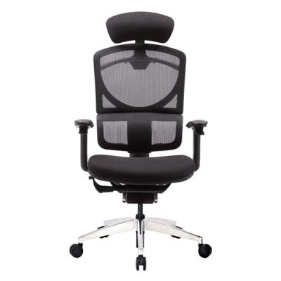 Cina Schiuma regolabile Seat di altezza di sopravvivenza di Mesh Back Ergonomic Office Chair in vendita