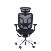 China Ergonomic Lumbar Support Chair Height Adjustable Mid Back Staff Office for sale