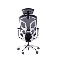 China Ergonomic Lumbar Support Chair Height Adjustable Mid Back Staff Office for sale