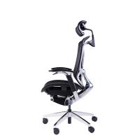 China Ergonomic Lumbar Support Chair Height Adjustable Mid Back Staff Office for sale