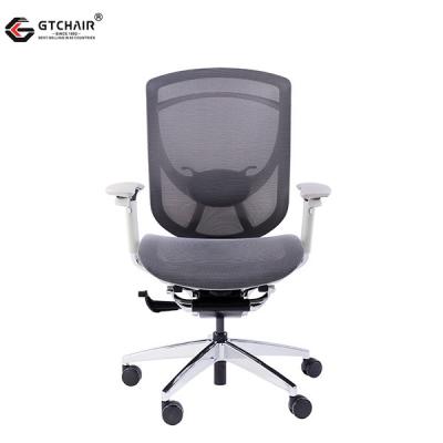 Cina L'ufficio ergonomico più lombo-sacrale presiede il supporto lombare Mesh Rolling lucidato in vendita