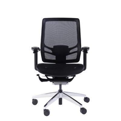 China Estofamento ergonômico ajustável traseiro meados de da tela da cadeira do apoio lombar de escritório de pessoal à venda