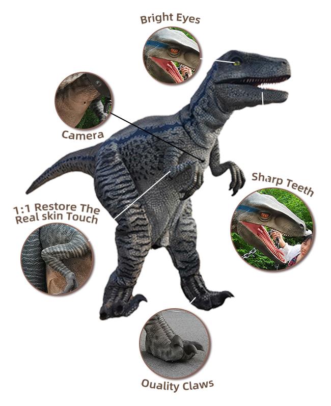 Detailed view of dinosaur costume features