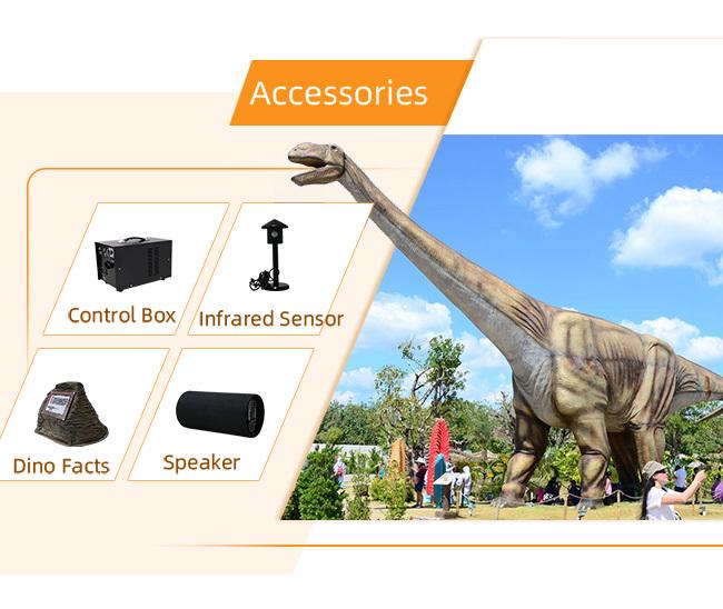 Close-up view of dinosaur animatronic head with realistic features