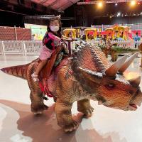 Quality 150kg Load Electric Walking Dinosaur Ride Animatronic Triceratops Dinosaurs Ride for sale