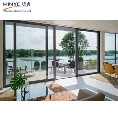 China Main Material Aluminum Alloy Interior Customized Security Sliding Doors with Fly Screen for sale