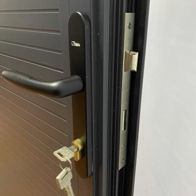 China Modern Design Europe Security Steel Door with Locks Hinges and Handle Accessories for sale