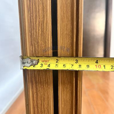 China Dubbelgehard glas voor orkaanbescherming Aluminium schuifvenster met magnetisch scherm Te koop