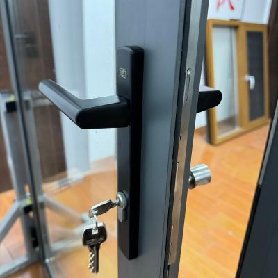 Cina Fibra di vetro schermo rete materiale vetro porta a dondolo negozio Villa Soluzione di progettazione grafica in vendita