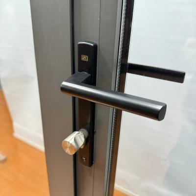 Cina Fibra di vetro schermo rete materiale vetro porta a dondolo negozio Villa Soluzione di progettazione grafica in vendita