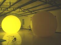 China LED Giant Inflatable Mushroom for sale