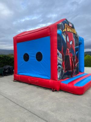 Cina Castello gonfiabile in PVC per bambini, buttafuori gonfiabili commerciali, castello gonfiabile all'aperto in vendita