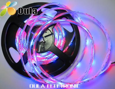 Cina Alta intensità colore singolo 5050 DC 12V LED striscia flessibile impermeabile Running Light in vendita