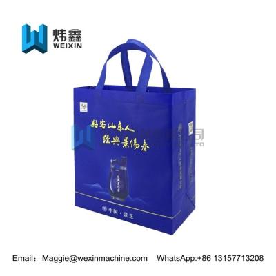 China China Factory Promotional Custom Shopping PP Non Woven Bag for sale