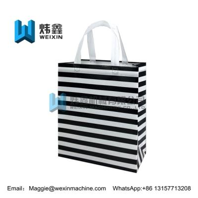 China Promotional Foldable Reusable Laminated Non Woven Bag 100gsm for sale