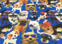 China 300D Printed Waterproof Fabric for sale