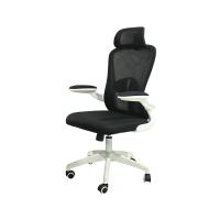 China Ergonomic Office Chair with Adjustable Lumbar Support Breathable Mesh Back 360 Swivel for sale