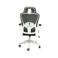 China Ergonomic Office Chair with Adjustable Lumbar Support Breathable Mesh Back 360 Swivel for sale