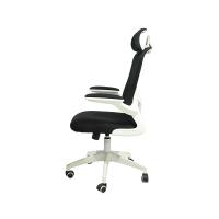 China Ergonomic Office Chair with Adjustable Lumbar Support Breathable Mesh Back 360 Swivel for sale