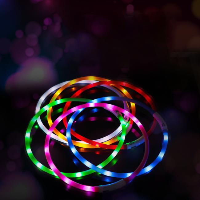 pet led collar