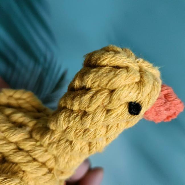 duck rope dog toy
