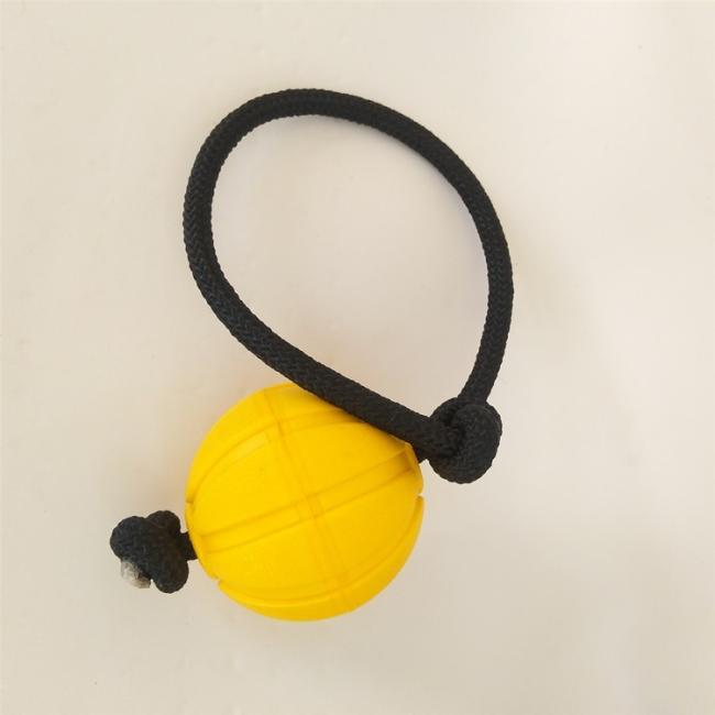 big dog ball toy