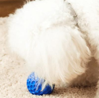 China Pet Bite-resistant Sound Chew Toy Dog Interactive Rubber Ball for sale