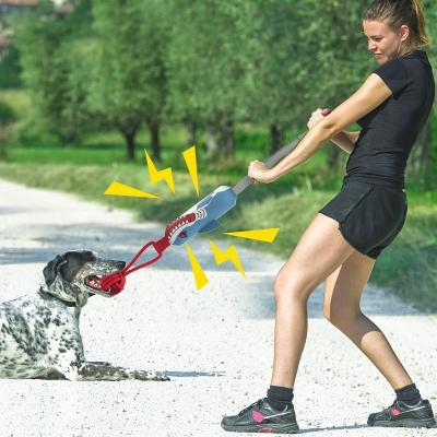 Cina La masticazione sana interattiva dell'animale domestico gioca la corda della palla di Tug War Cotton Squeaky Dog in vendita