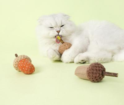 China Scratcher Training Catnip Chew Toys For Cats Teeth For Pets Kittens Kitty Supplies for sale
