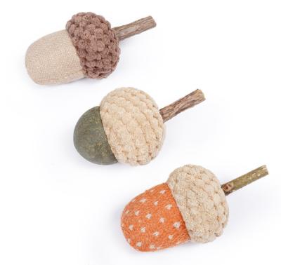 China Scratcher Training Catnip Chew Toys For Cats Teeth For Pets Kittens Kitty Supplies for sale