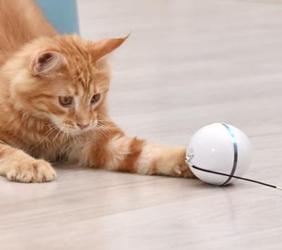 China Interactief USB die Elektronische Cat Ball Interactive Cat Toys-Ballen laden Te koop