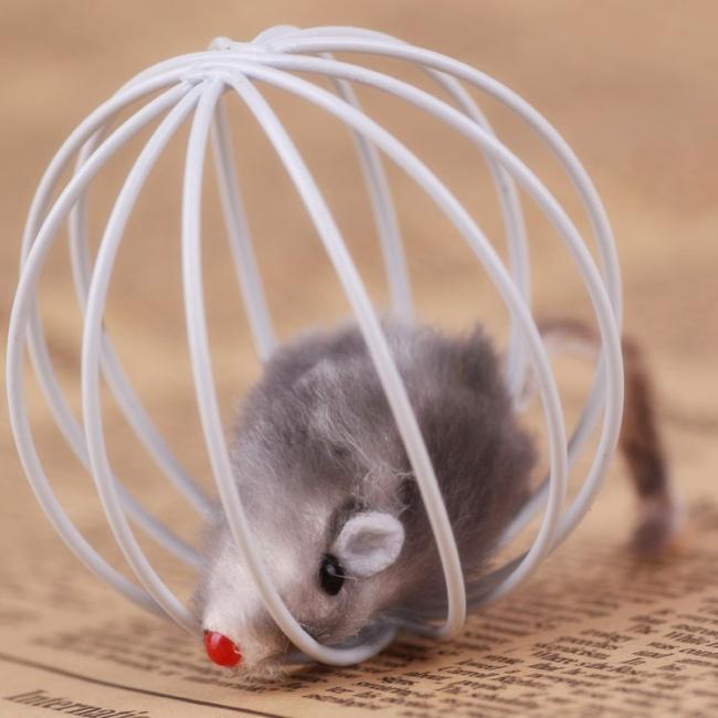 durable cat toys 